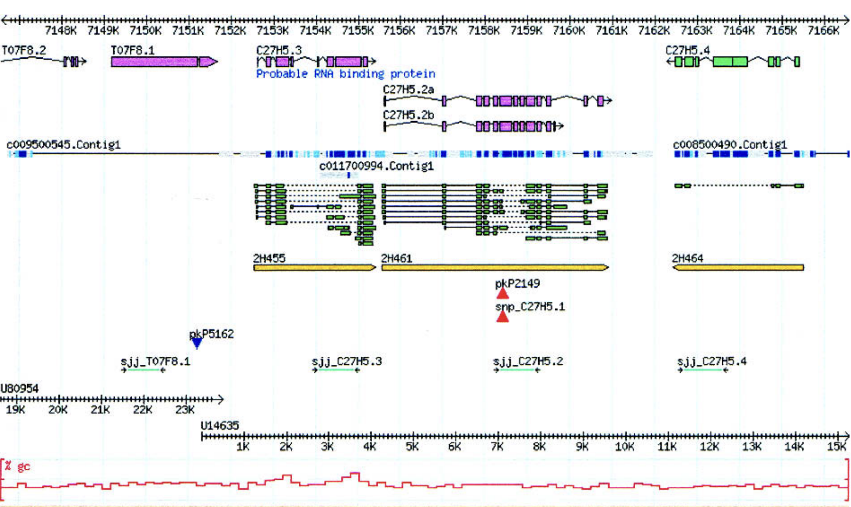 Ben Swanson Homepage